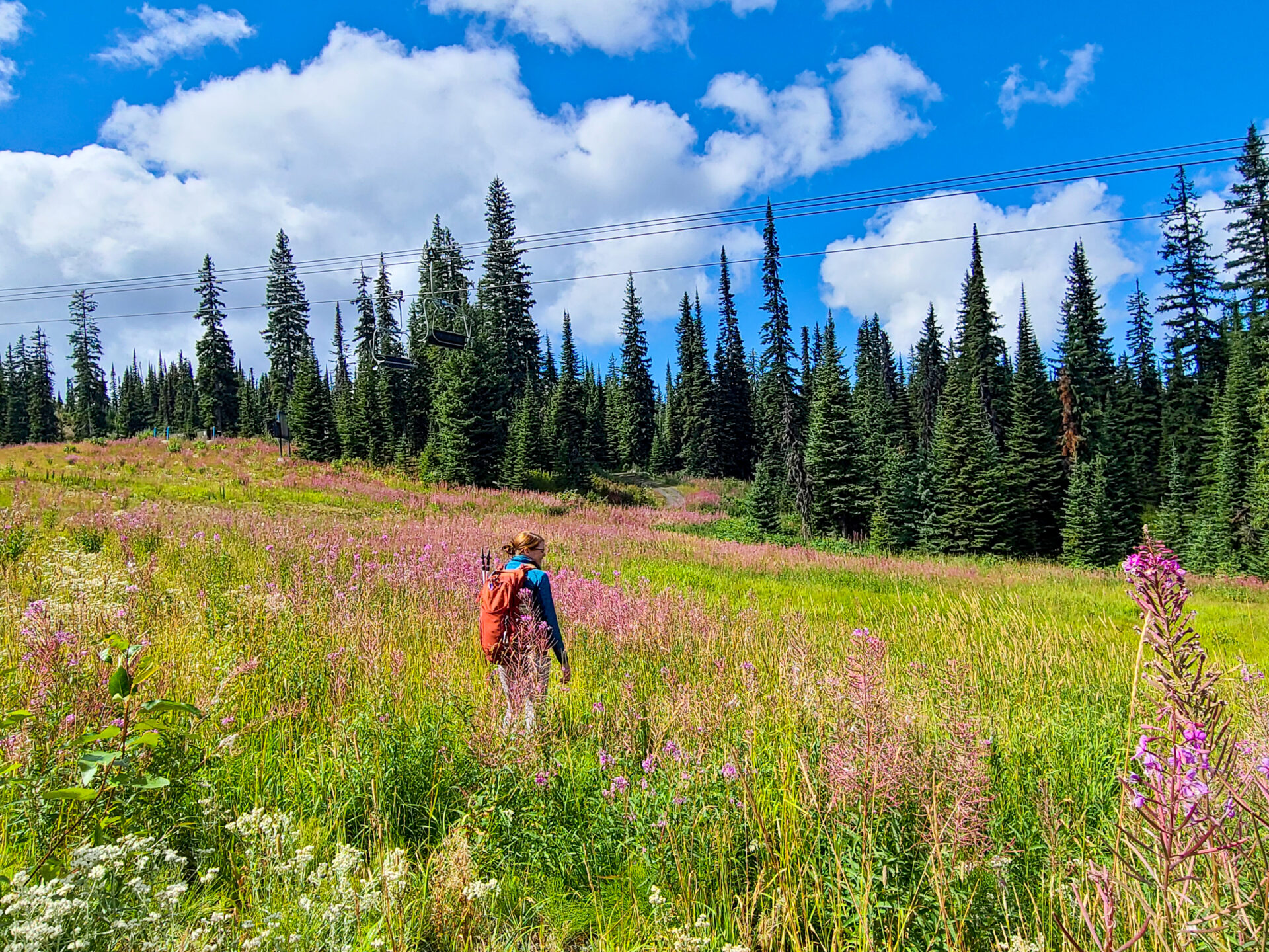 Hiking & Trail Running – Destination Silver Star