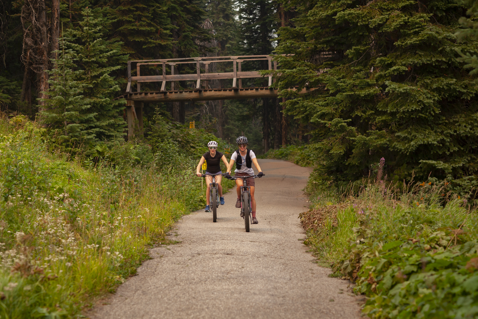 5 Reasons to Visit Silver Star This Summer – Destination Silver Star