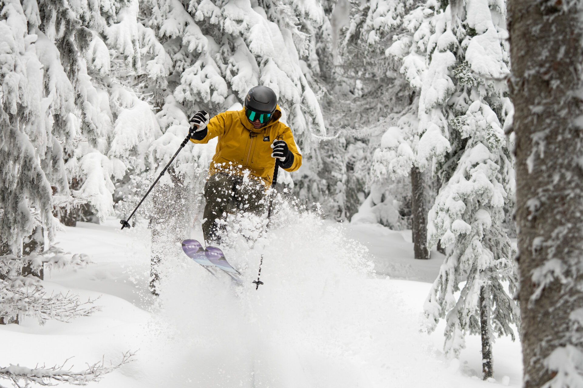 Destination Silver Star – Discover the Magic